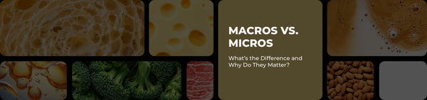 Macros vs. Micros: What’s the Difference and Why Do They Matter? – AYBL Community